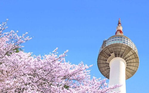 Best Time to Visit Seoul - The Seoul Guide